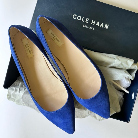 Cole Haan | Shoes | Cole Haan Hadley Skimmer In Marlin Blue Suede ...